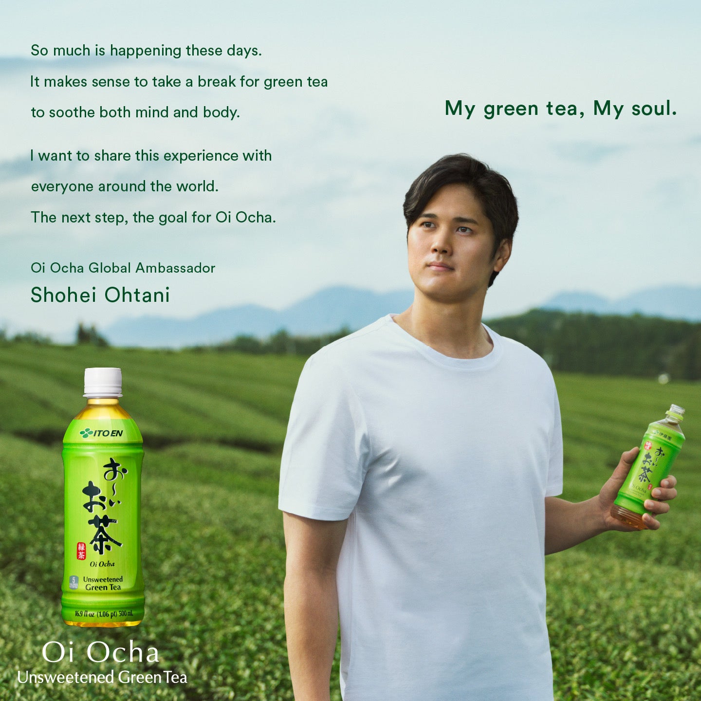 Organic Japanese Green Tea | Online Green Tea Store – ITO EN